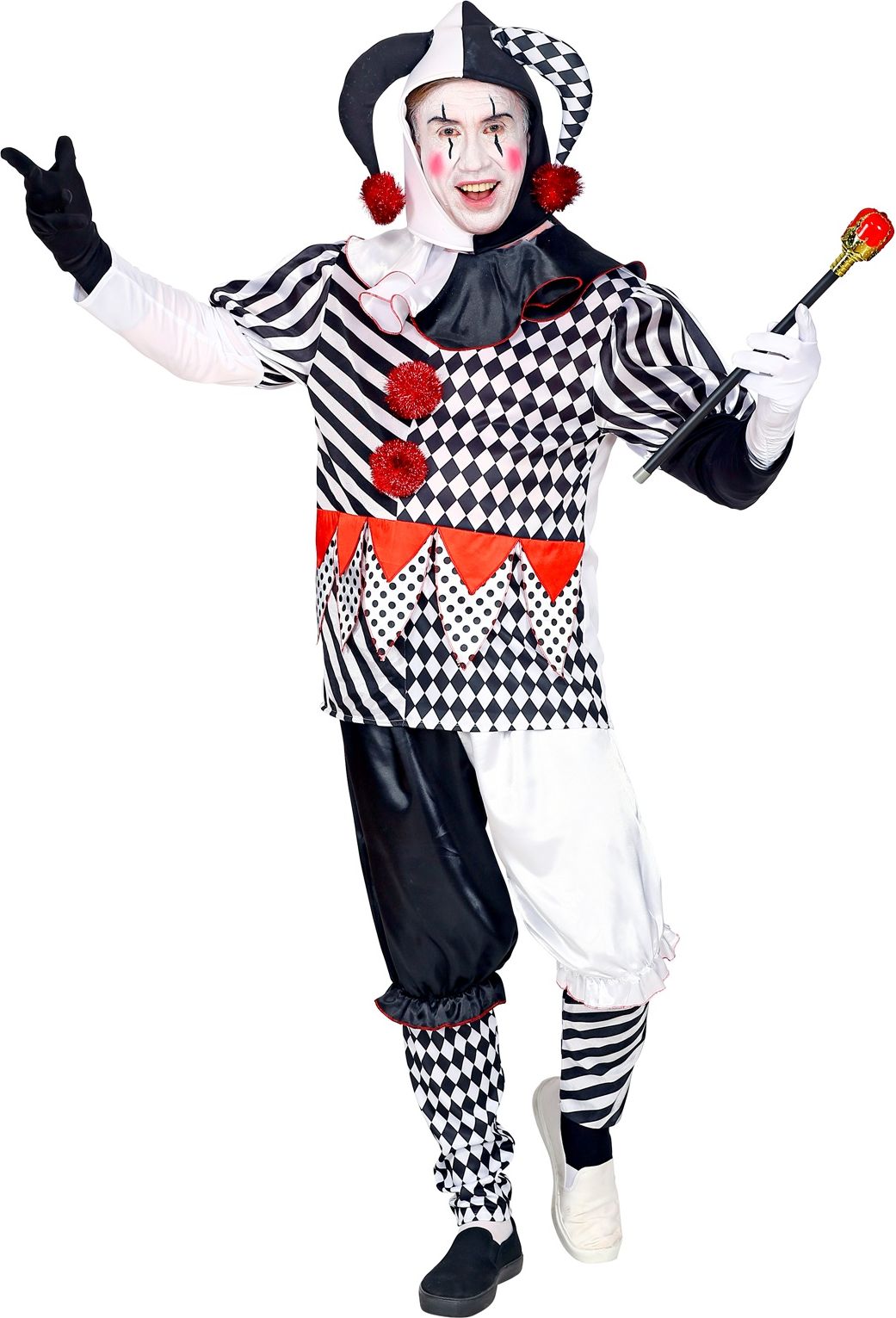 Harlekijn carnaval heren | Feestkleding.nl