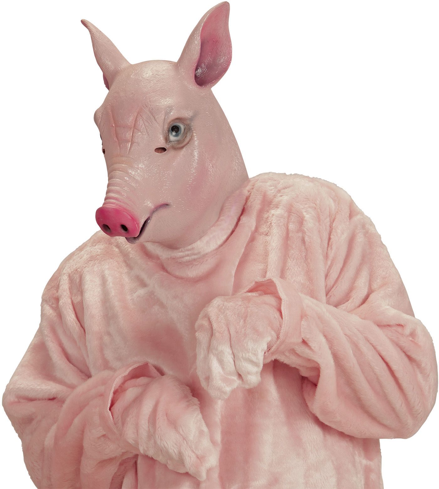 Masker varken | Feestkleding.nl